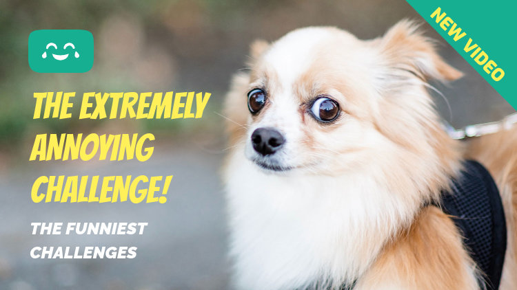 Placeit - YouTube Thumbnail Generator for a Comedy Challenges Channel