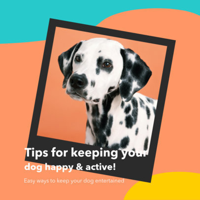 Placeit - Instagram Post Generator Featuring Tips for Dog Activities