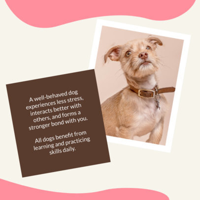 Placeit - Instagram Post Template Featuring Tips on Making a Dog More ...