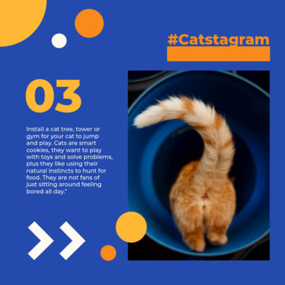 Placeit - Instagram Post Maker with a Cat Picture Featuring Tips for Owners