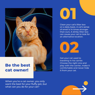 Placeit - Instagram Post Maker Featuring Tips for Beginner Cat Owners