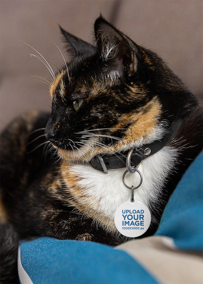 Placeit - Pet Tag Mockup Featuring an Adorable Cat Resting on a Couch