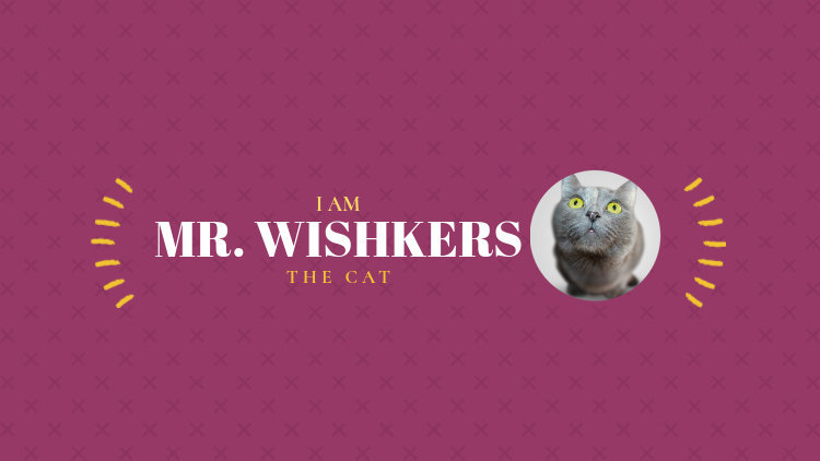 Placeit - YouTube Channel Art Maker with Cat Images