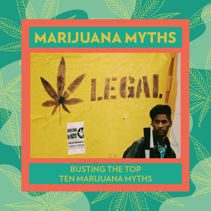 Placeit - 420-Allusive Facebook Post Maker Featuring Marijuana Myths